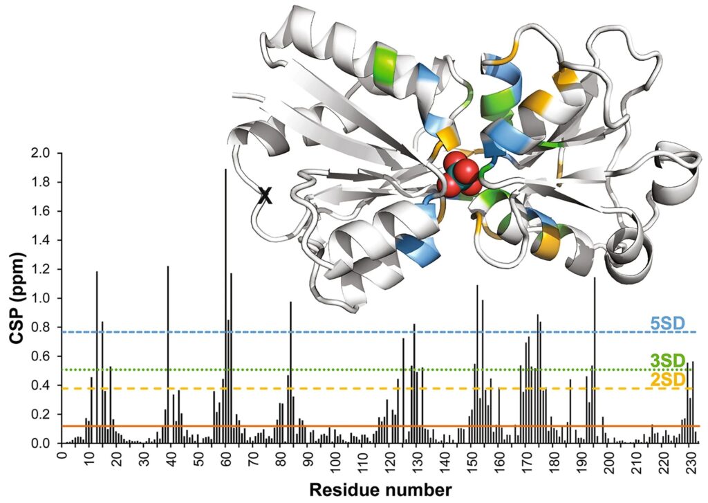 Dr Crowhurst publishes latest research with MS student – CSUN News & Events